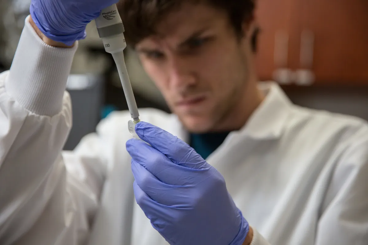 Microbiology | Department of Biology