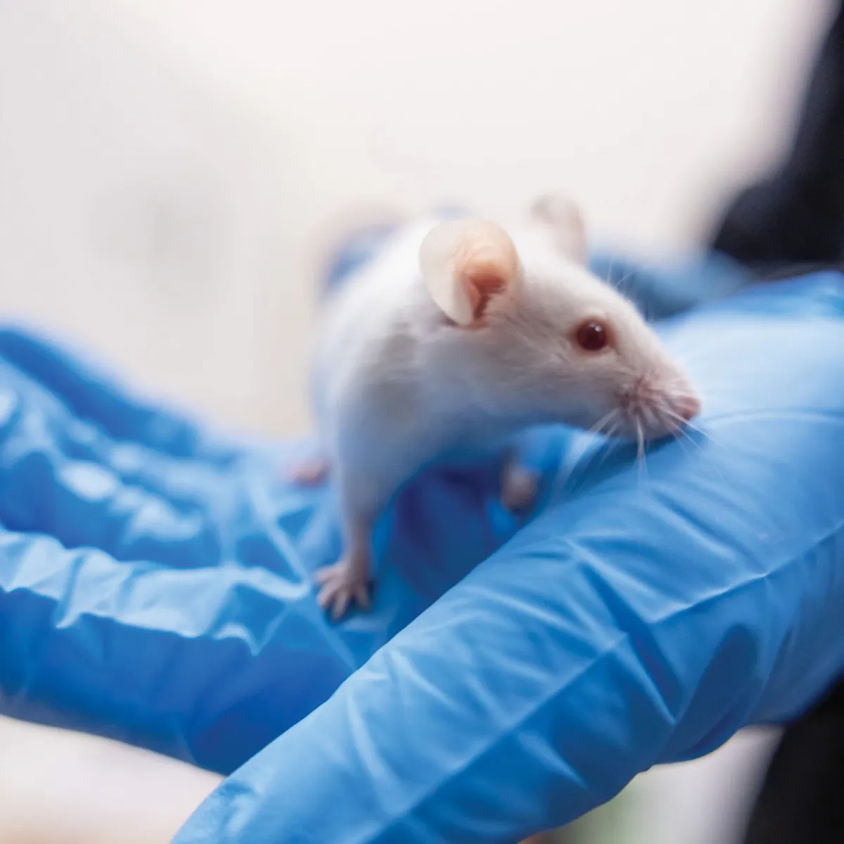 LaCrosse Lab Explores How Biology and Behavior Connect | Northern Magazine