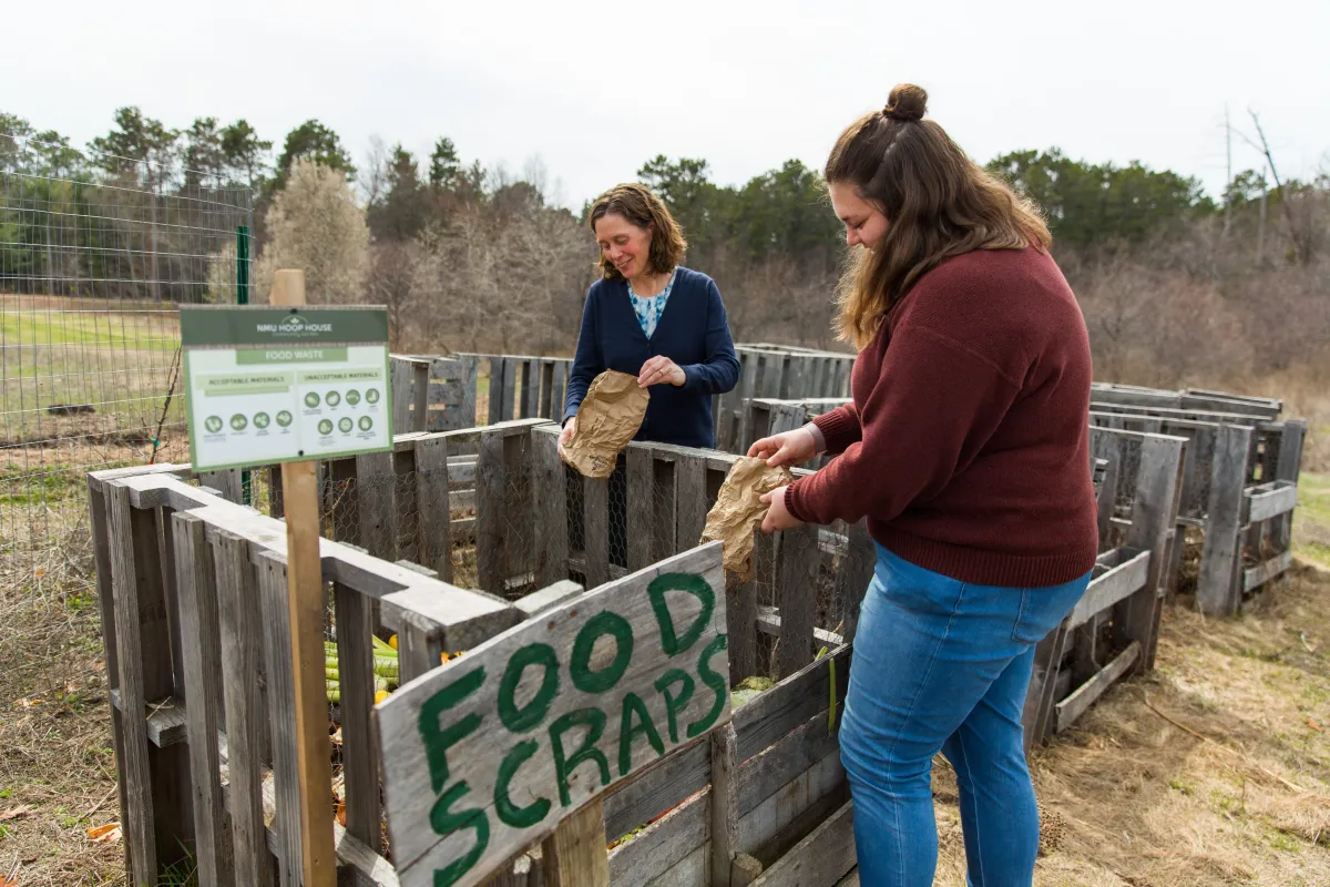 Composting | Sustainability Hub for Innovation & Environment