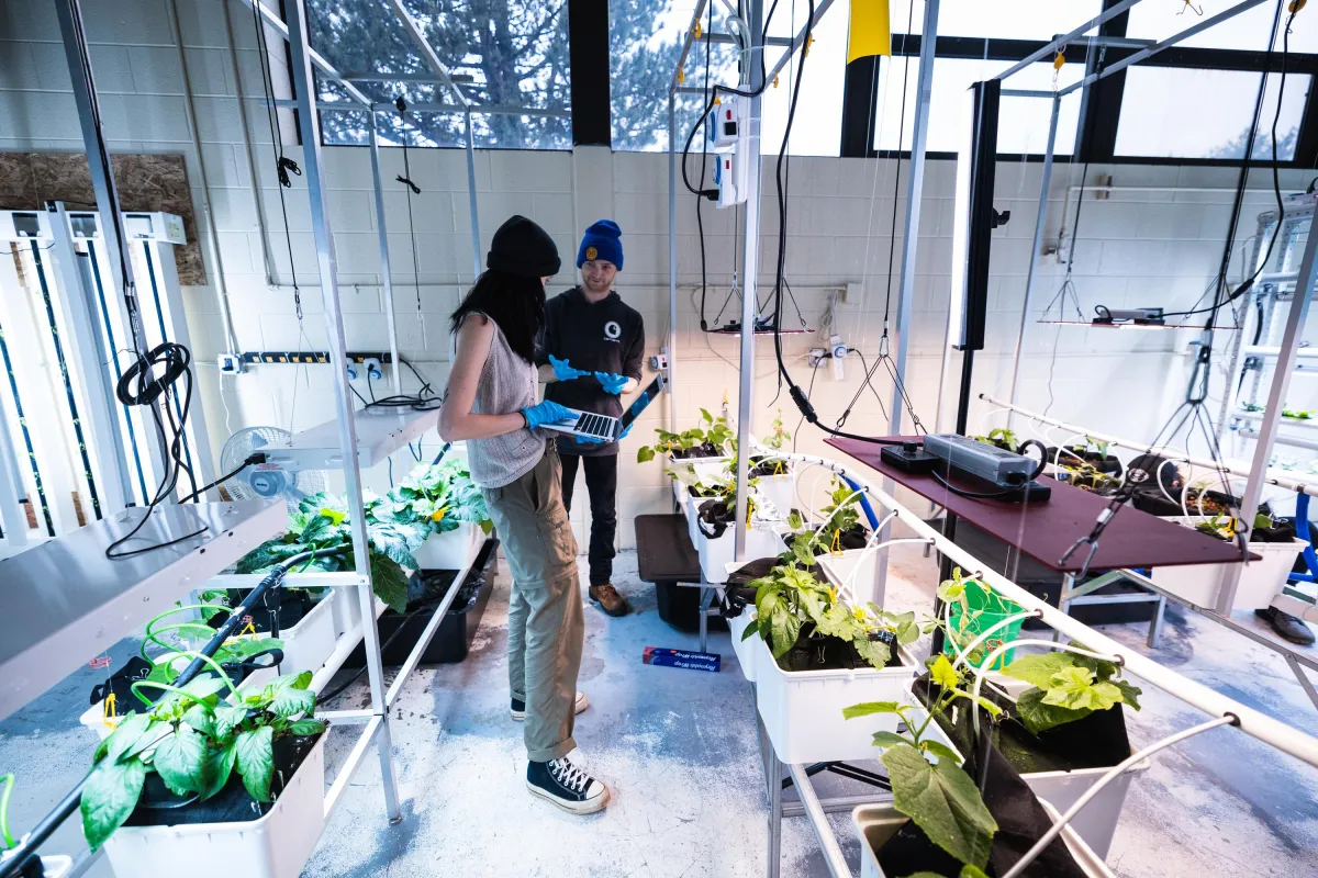 Controlled Environment Agriculture | Technology and Occupational Sciences