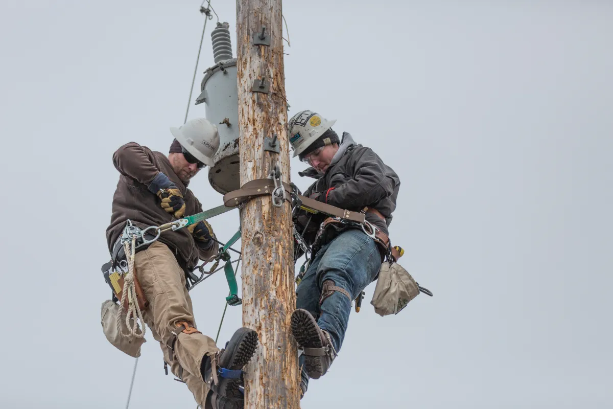 Electrical Line Technician | Technology and Occupational Sciences